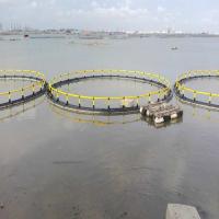 China HDPE Fish Cage Floating Platform 80m-300m Circumference Wave Resistance ≤6m for Offshore Breeding for sale