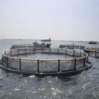 China HDPE Fish Cage Floating Platform 80m-300m Circumference Wave Resistance ≤6m for Offshore Breeding for sale