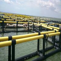 China HDPE Square Fish Cage Floating Platform 2m-30m Corrosion Resistant for Freshwater Aquaculture for sale