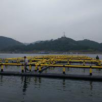 China HDPE Square Fish Cage Floating Platform 2m-30m Corrosion Resistant for Freshwater Aquaculture for sale