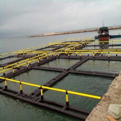 China HDPE Square Aquaculture Cage Floating Fish Farming Cage 4m x 4m Customizable for sale