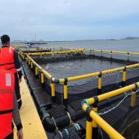 China 2026 New Technology Offshore Fish Cage for Marine Aquaculture 20m Diameter for sale