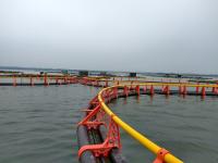 China Round HDPE Floating Fish Cage 80m-300m Circumference for Lake Reservoir Aquaculture for sale