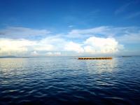 China Round HDPE Floating Fish Cage 80m-300m Circumference for Lake Reservoir Aquaculture for sale