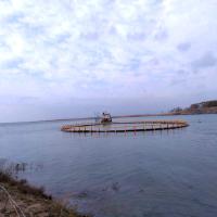 China Round HDPE Floating Fish Cage 80m-300m Circumference for Lake Reservoir Aquaculture for sale
