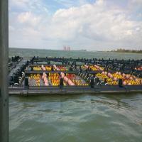 China Square HDPE Floating Fish Cage 4m x 4m for River Sea Aquaculture for sale