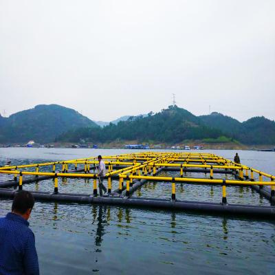 China Square HDPE Floating Fish Cage 4m x 4m for River Sea Aquaculture for sale