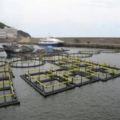 China HDPE Square Fish Farming Cage 10m x 10m Commercial Aquaculture Net Cage for sale