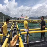 China Large Square HDPE Floating Fish Cage 6m x 6m Anti-Wind Wave Corrosion Resistant Aquaculture Net Cage for Tilapia for sale
