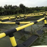 China Large Square HDPE Floating Fish Cage 6m x 6m Anti-Wind Wave Corrosion Resistant Aquaculture Net Cage for Tilapia for sale