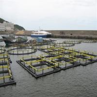 China Large Square HDPE Floating Fish Cage 6m x 6m Anti-Wind Wave Corrosion Resistant Aquaculture Net Cage for Tilapia for sale