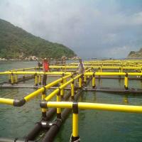 China Heavy Duty Square Floating Fish Cage HDPE 6m x 6m Commercial Aquaculture Net Cage for Tilapia Catfish in River Lake Offshore for sale