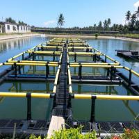 China Heavy Duty Square Floating Fish Cage HDPE 6m x 6m Commercial Aquaculture Net Cage for Tilapia Catfish in River Lake Offshore for sale