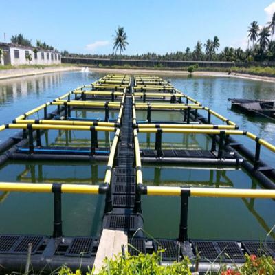 China Heavy Duty Square Floating Fish Cage HDPE 6m x 6m Commercial Aquaculture Net Cage for Tilapia Catfish in River Lake Offshore for sale