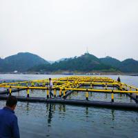 China Oversized Square Floating Fish Cage HDPE 20m x 20m Industrial Aquaculture Net Cage for Tilapia Breeding Anti-Bird Anti-Escape for sale