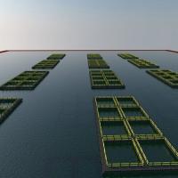 China Oversized Square Floating Fish Cage HDPE 20m x 20m Industrial Aquaculture Net Cage for Tilapia Breeding Anti-Bird Anti-Escape for sale