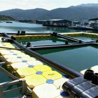 China Oversized Square Floating Fish Cage HDPE 20m x 20m Industrial Aquaculture Net Cage for Tilapia Breeding Anti-Bird Anti-Escape for sale
