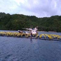 China HDPE Square Floating Fish Cage 4m x 4m Weather Resistant Aquaculture Net Cage for Tilapia Shrimp for sale