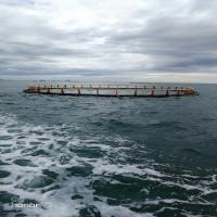 China HDPE Floating Fish Cage 80m-300m Circumference Anti-Wave Corrosion Resistant Customizable Aquaculture Net Cage for Tilapia for sale