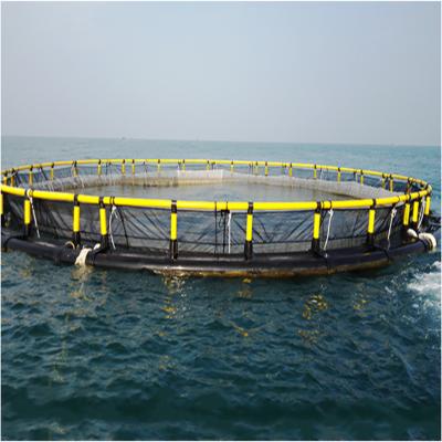 China Custom HDPE Round Floating Fish Cage 80m-300m Circumference Wind Corrosion Resistant for Tilapia Large Scale Breeding for sale