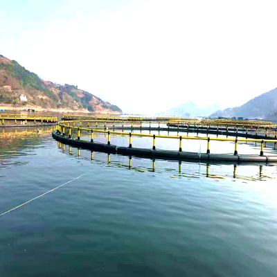 China HDPE Large Round Floating Fish Cage 80m-300m Circumference Weather Resistant Commercial Aquaculture Net Cage for Tilapia Shrimp High Density Farming for sale