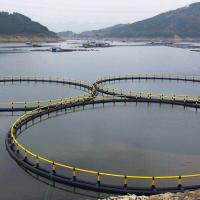 China Round HDPE Floating Fish Cage Anti Aging Commercial Aquaculture Net Cage for Freshwater Tilapia High Density Breeding 80m-300m for sale
