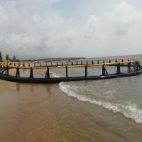 China HDPE Circular Floating Net Cage 80m-300m Circumference Wind Wave Resistant Commercial Aquaculture for Tilapia Shrimp for sale