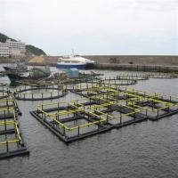 China Custom Square Anti-Wave HDPE Fish Cage 2m to 30m Integrated Floating Frame for Tilapia Freshwater Aquaculture for sale