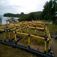 China Custom Size HDPE Square Aquaculture Cage for Tilapia Sea Bass 2m to 30m for sale