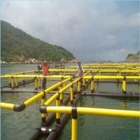 China Custom Size HDPE Square Aquaculture Cage for Tilapia Sea Bass 2m to 30m for sale