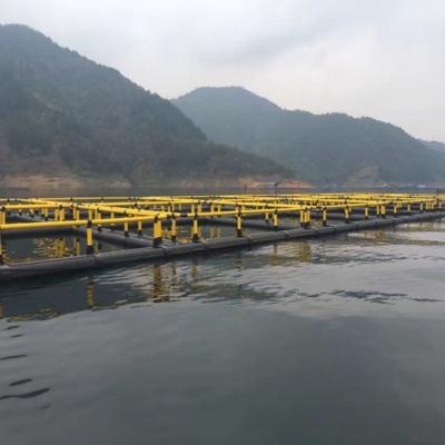 China Eco Friendly Square Fish Cage Anti Aging HDPE Water Culture Net Cage 2m x 2m to 30m x 30m for sale