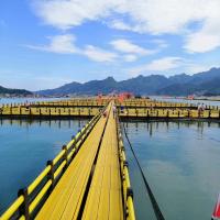 China Custom HDPE Floating Dock Platform for Water House 80m-300m Circumference for sale