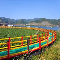 China Custom HDPE Floating Dock Platform for Water House 80m-300m Circumference for sale