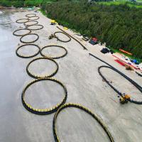 China HDPE Circular Floating Fish Cage Complete Set 80m-300m Circumference for Freshwater Aquaculture for sale