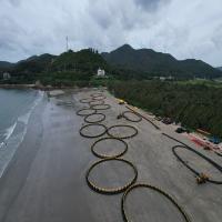 China HDPE Circular Floating Fish Cage 80m-300m Circumference Deep Water Aquaculture Equipment for sale