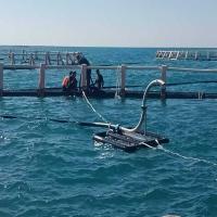 China HDPE Circular Floating Fish Cage 250mm 260mm for Lake Farming Aquaculture for sale