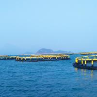 China HDPE Circular Floating Fish Cage 250mm 260mm for Lake Farming Aquaculture for sale
