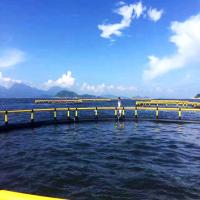 China HDPE Circular Floating Fish Cage 250mm 260mm for Lake Farming Aquaculture for sale