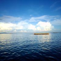 China Wind & Wave Resistant Circular Floating Cage for Open Water for sale