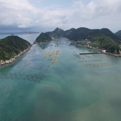 China HDPE Circular Leisure Fish Cage 250mm Floating Pipe for Small Farm Aquaculture for sale