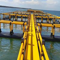 China HDPE All-in-One Floating Deck for Cage Fish Farm Water Tourism 80m-300m for sale