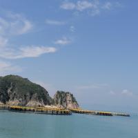 China HDPE Floating Round Fish Cage 80m-300m Circumference for Tilapia Aquaculture for sale