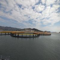China Deep Water Anti-Wave Round HDPE Fish Cage System 80m-300m Circumference for sale