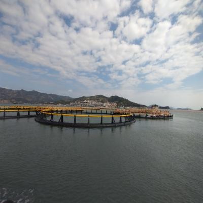 China Deep Water Anti-Wave Round HDPE Fish Cage System 80m-300m Circumference for sale
