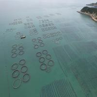 China Complete Set Round Fish Cage 80m-200m Circumference HDPE Floating Collar with Anchor System for sale