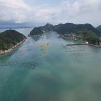 China Complete Set Round Fish Cage 80m-200m Circumference HDPE Floating Collar with Anchor System for sale