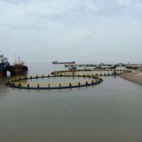 China High Wear Resistant HDPE Round Fish Cage Anti Fouling Fish Farming Net Cage 80m-300m Circumference for sale