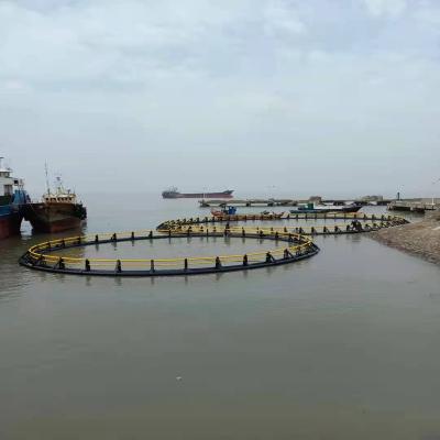 China High Wear Resistant HDPE Round Fish Cage Anti Fouling Fish Farming Net Cage 80m-300m Circumference for sale