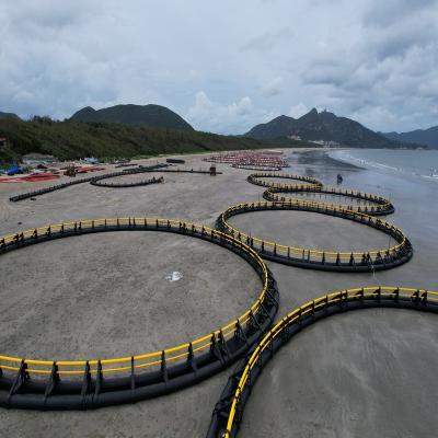 China Custom Size HDPE Floating Round Fish Cage 80m-300m Circumference OEM Aquaculture Cage for sale