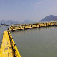 China Custom HDPE Leisure Sightseeing Fish Cage for Parent-Child Fishing, 2m x 2m to 30m x 30m for sale